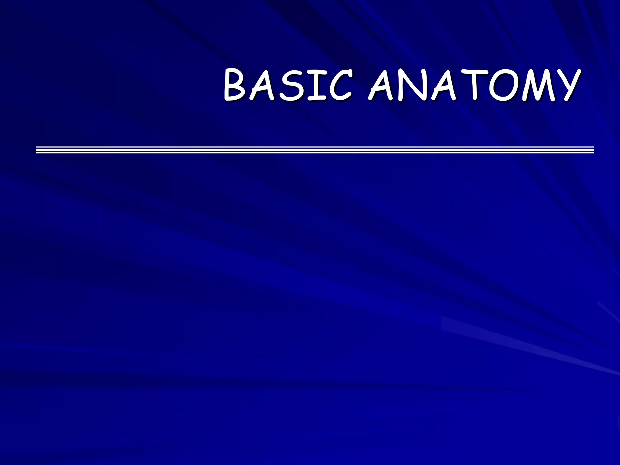 B asic anatomy SEMESTER 2 kd 2 anatomy | PPT
