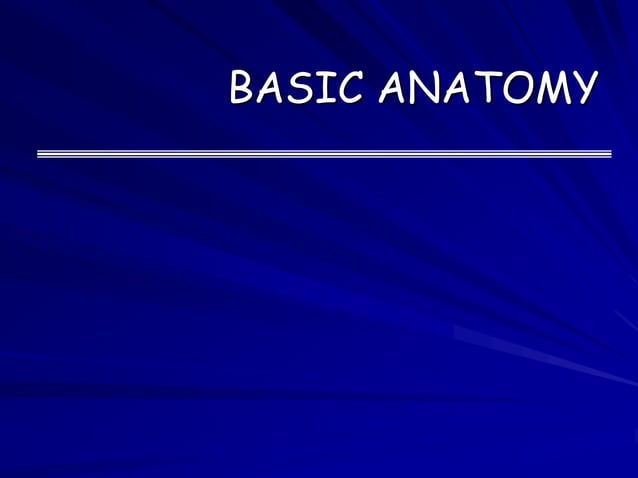 B asic anatomy SEMESTER 2 kd 2 anatomy | PPTX