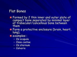 B asic anatomy SEMESTER 2 kd 2 anatomy | PPTX