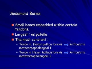 B asic anatomy SEMESTER 2 kd 2 anatomy | PPTX
