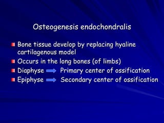 B asic anatomy SEMESTER 2 kd 2 anatomy | PPTX