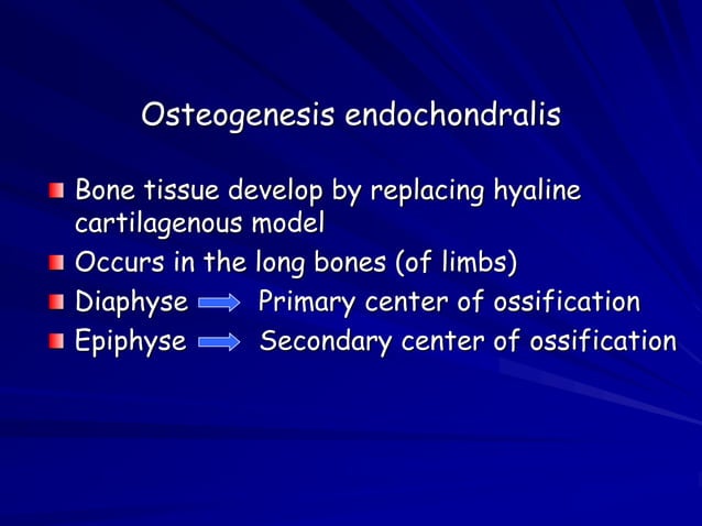 B asic anatomy SEMESTER 2 kd 2 anatomy | PPTX