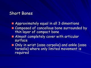 B asic anatomy SEMESTER 2 kd 2 anatomy | PPTX