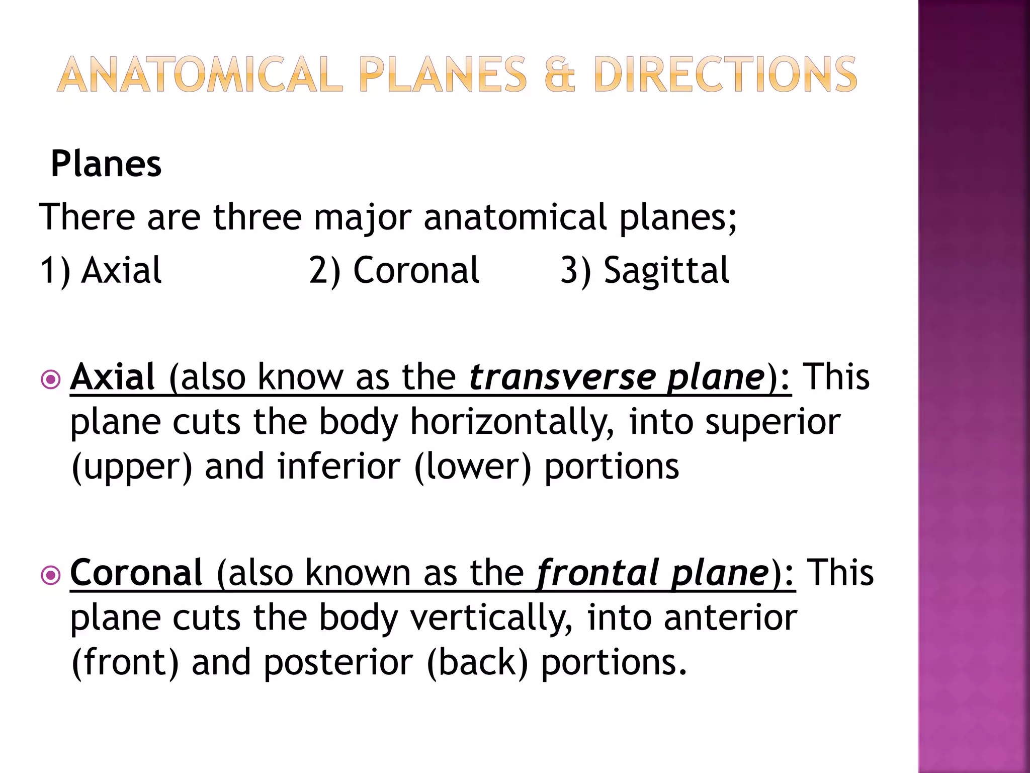 Basic anatomy | PPTX