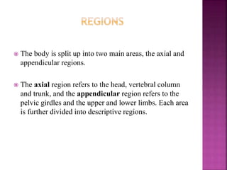 Basic anatomy | PPTX