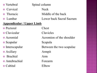 Basic anatomy | PPTX