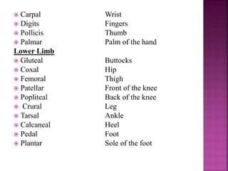 Basic anatomy | PPTX