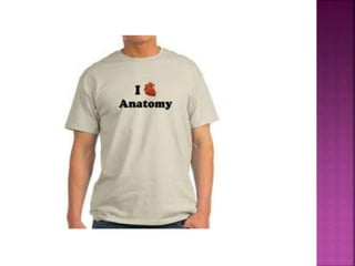 Basic anatomy | PPTX