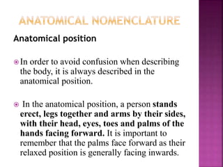Basic anatomy | PPTX