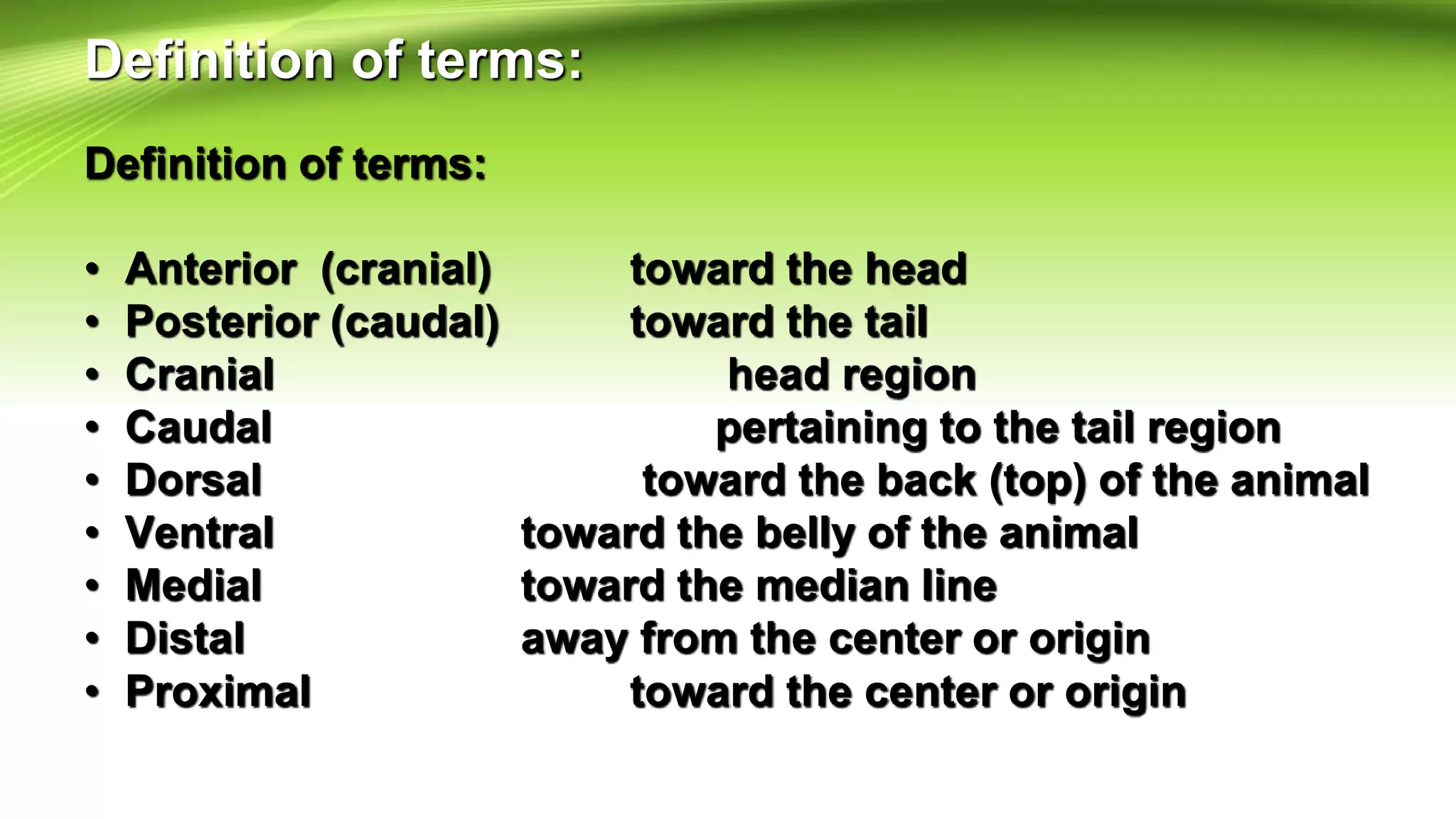 Basic fish anatomy | PPTX