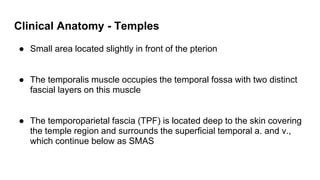 Basic Anatomy of the tear trough area .pptx