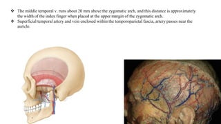 Basic Anatomy of the tear trough area .pptx