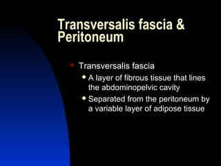 Basic anatomy 1 | PPT