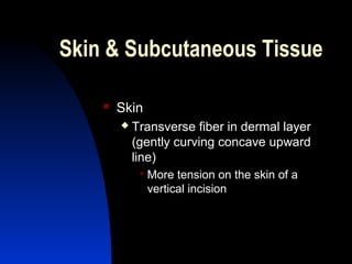 Basic anatomy 1 | PPT