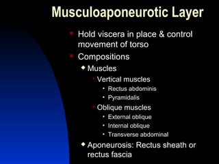 Basic anatomy 1 | PPT