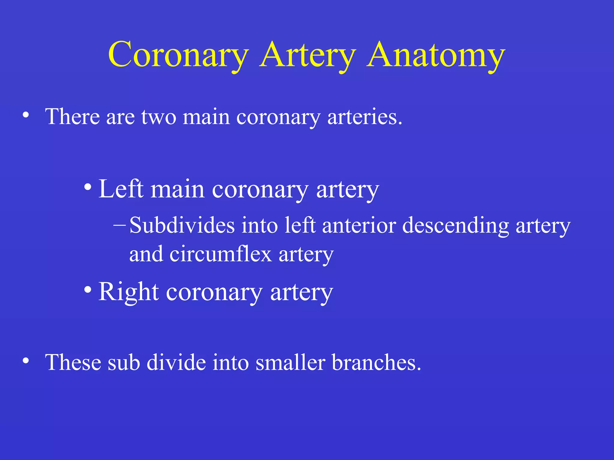 Cardio Vascular Anatomy & ECG | PPT