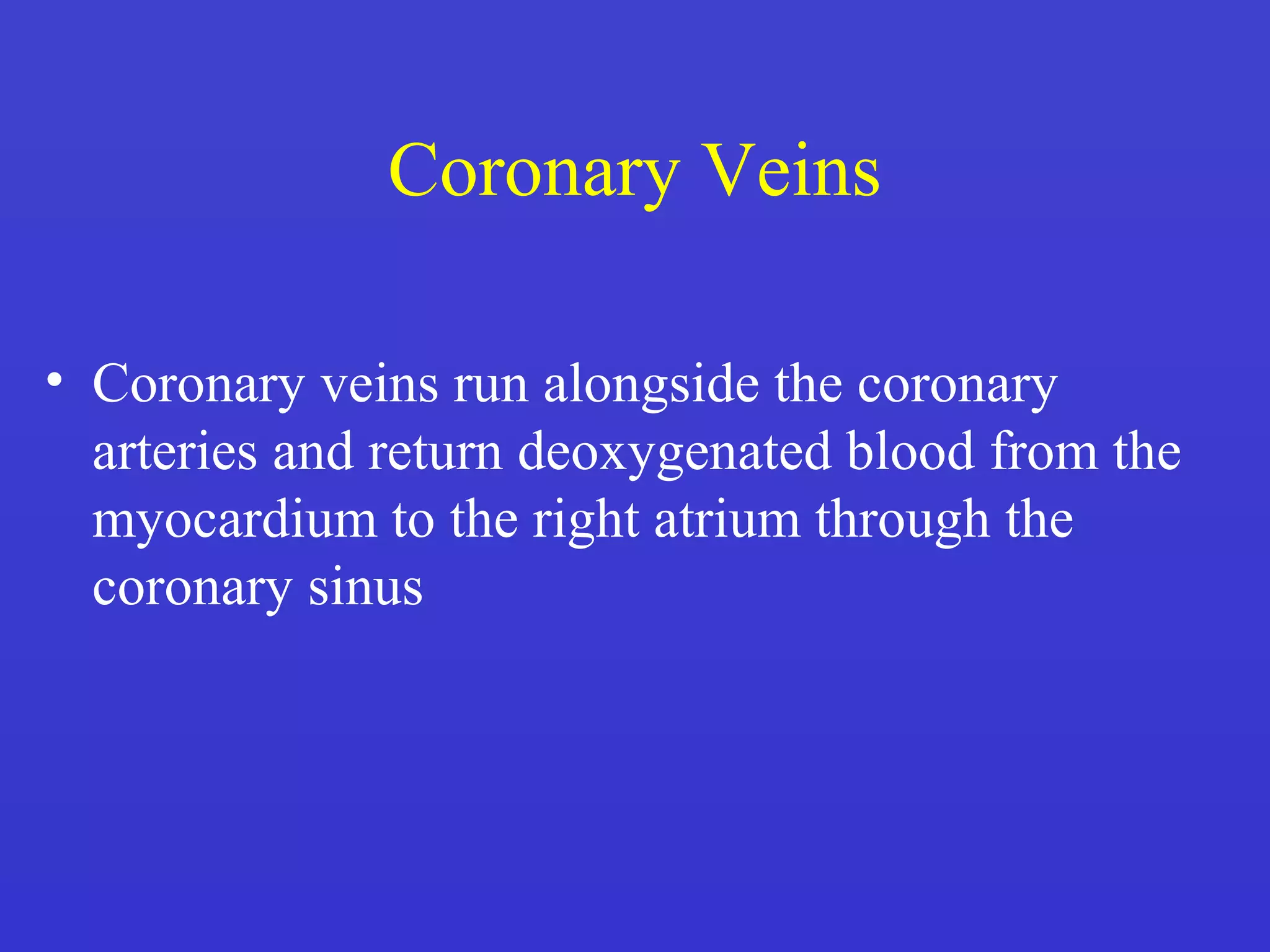 Cardio Vascular Anatomy & ECG | PPT