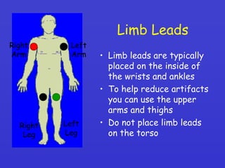 Cardio Vascular Anatomy & ECG | PPT