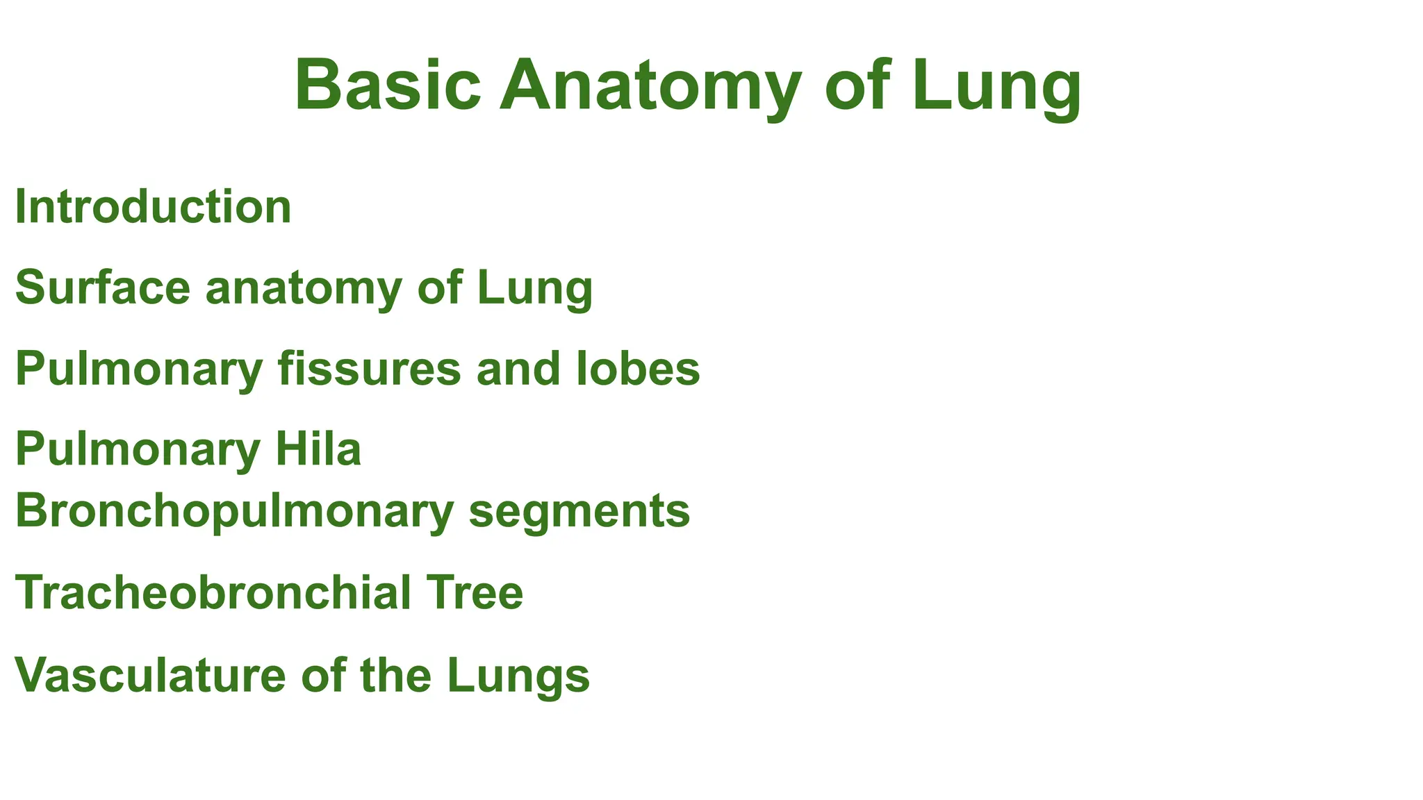 Basic anatomy of Lungs and Spirometry | PPT