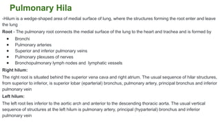 Basic anatomy of Lungs and Spirometry | PPT