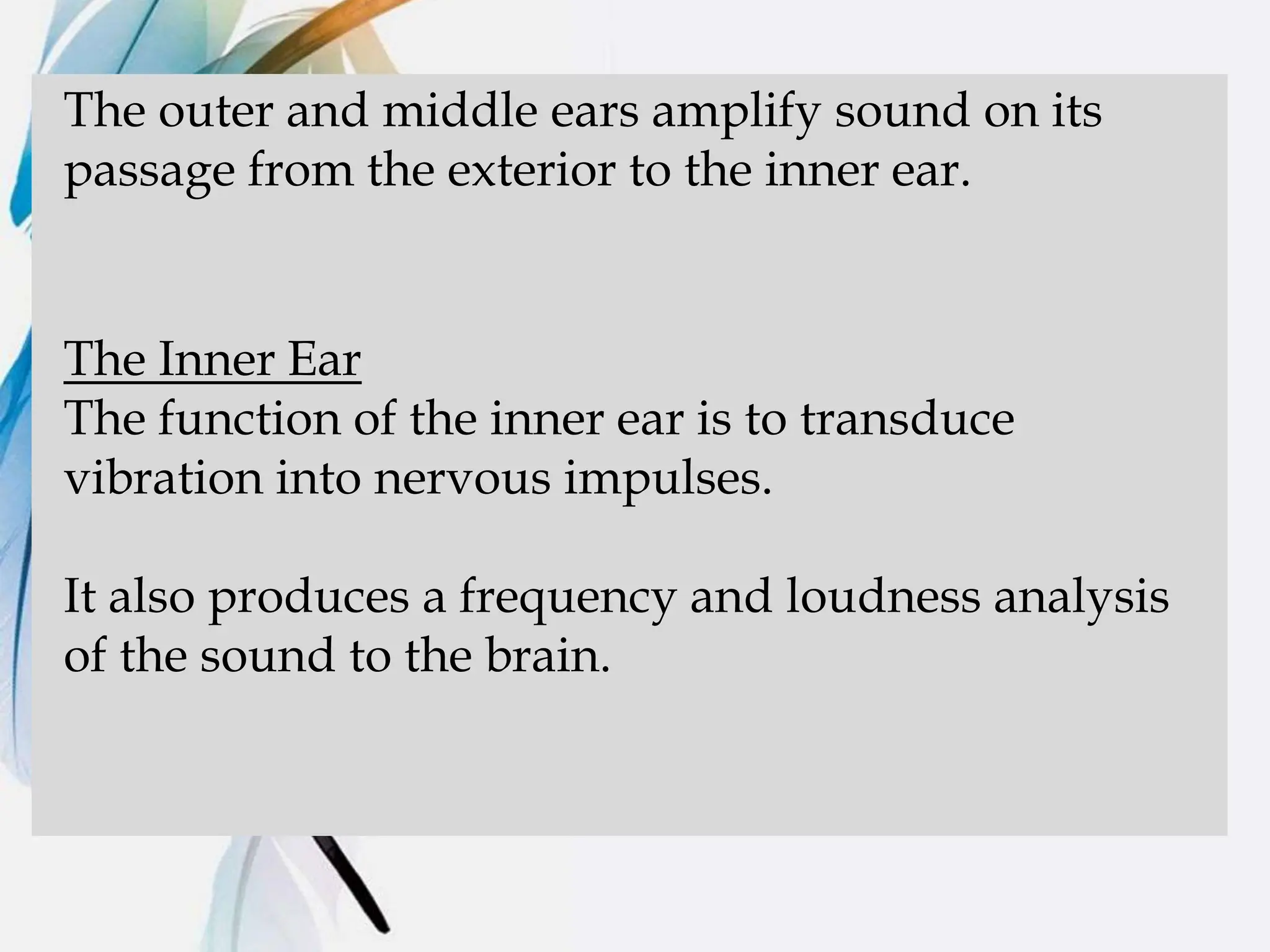 Basic anatomy and Phisiology in hearing.pptx