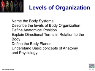 Basic anatomy and physiology.pdf