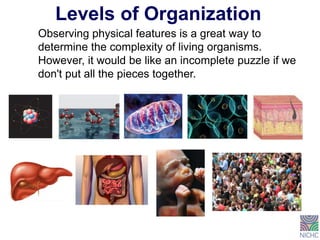 Basic anatomy and physiology.pdf