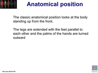 Basic anatomy and physiology.pdf