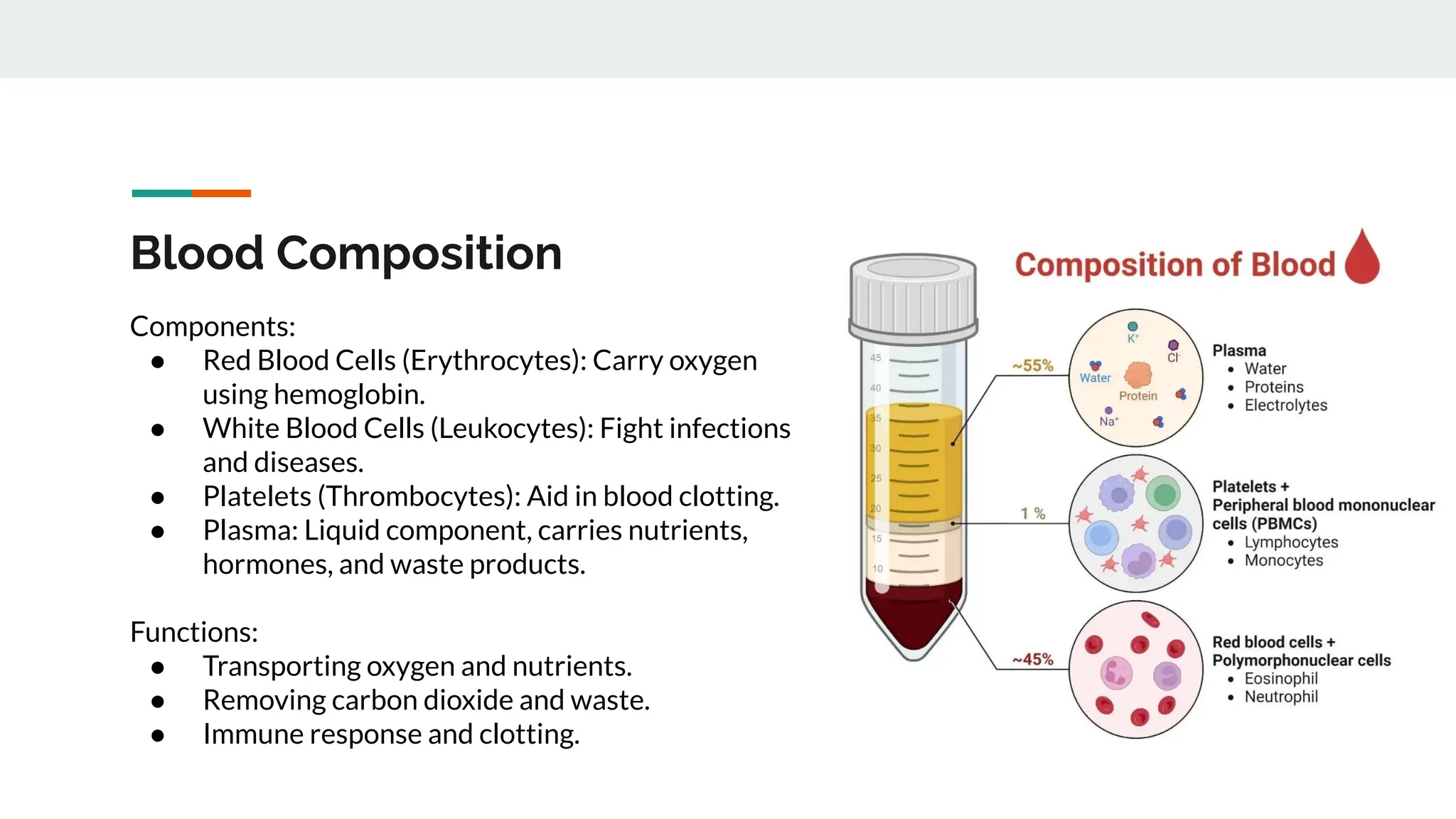 Basic anatomy and physiology Overview of Major body Systems.pdf
