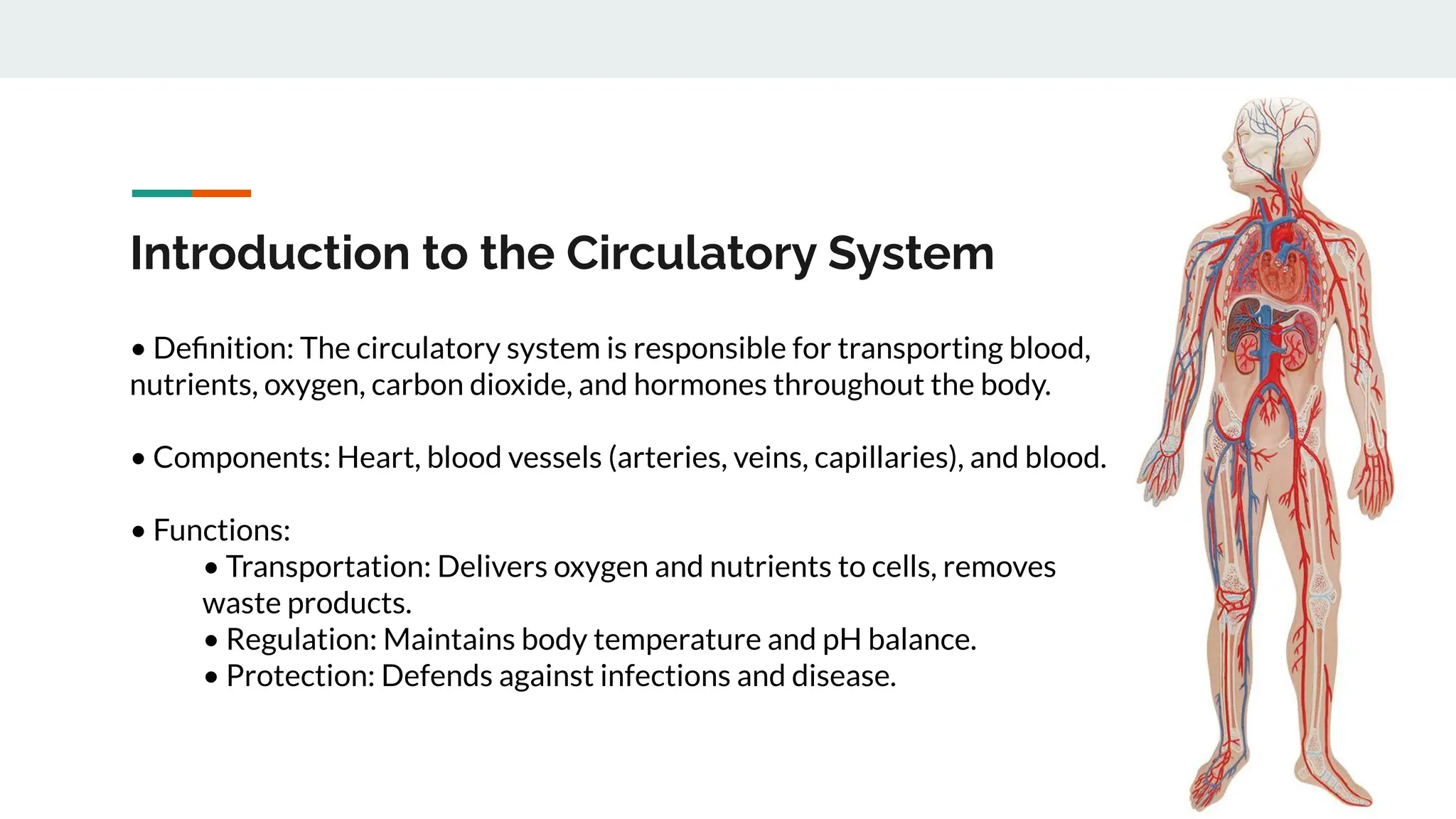 Basic anatomy and physiology Overview of Major body Systems.pdf