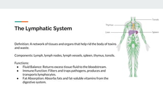 Basic anatomy and physiology Overview of Major body Systems.pdf
