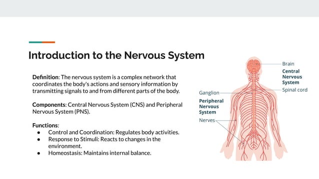Basic anatomy and physiology Overview of Major body Systems.pdf