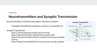 Basic anatomy and physiology Overview of Major body Systems.pdf