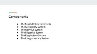 Basic anatomy and physiology Overview of Major body Systems.pdf