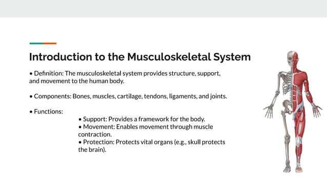 Basic anatomy and physiology Overview of Major body Systems.pdf