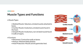 Basic anatomy and physiology Overview of Major body Systems.pdf