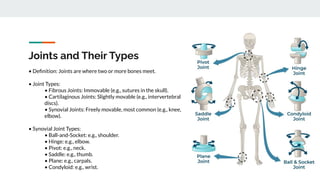 Basic anatomy and physiology Overview of Major body Systems.pdf