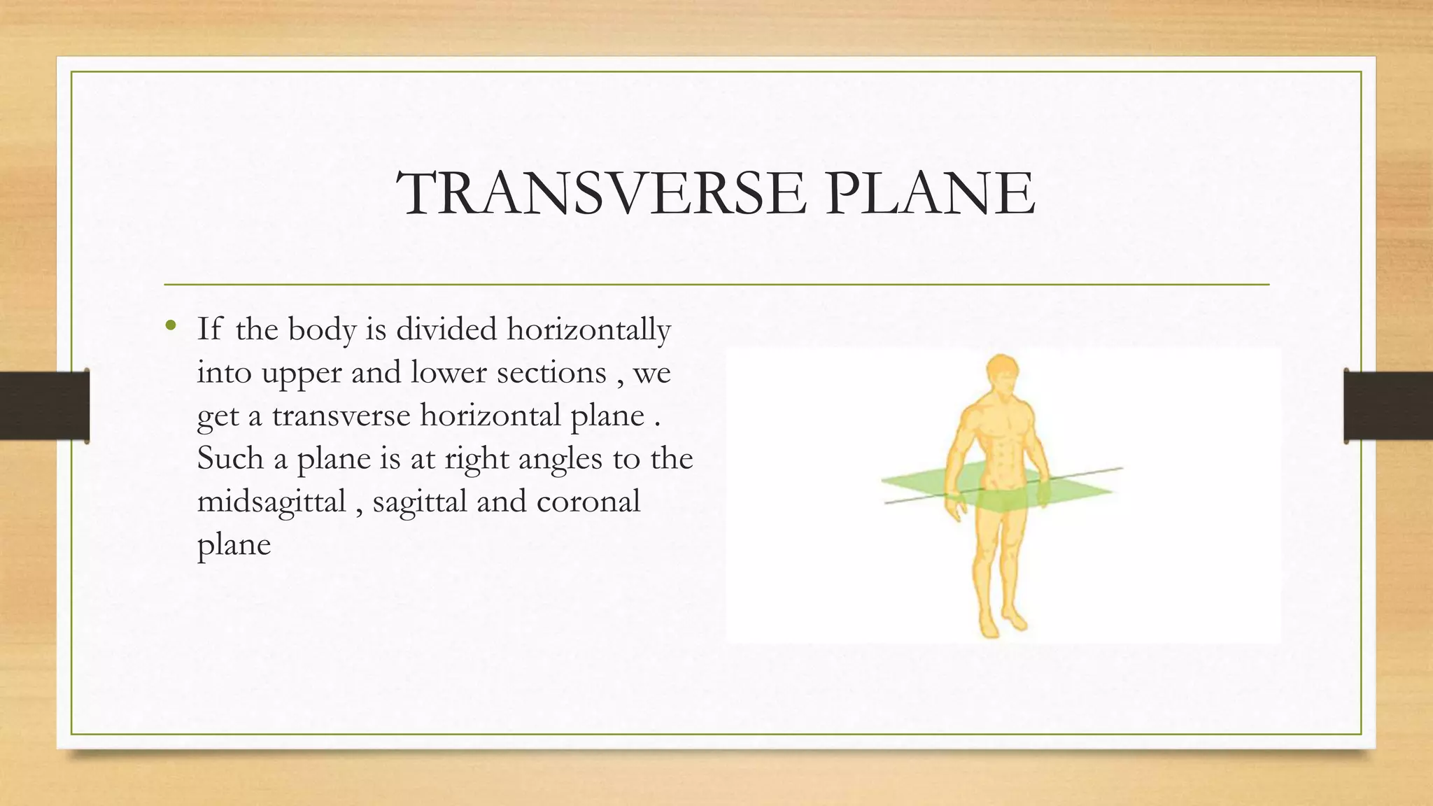 BASIC ANATOMY .pptx