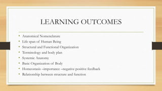 BASIC ANATOMY .pptx