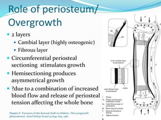 Basic anatomy of a tibia | PPTX