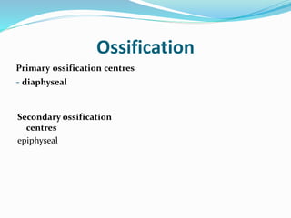 Basic anatomy of a tibia | PPTX