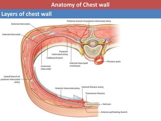 Basic anatomy & Radiology for breast cancer case | PPTX