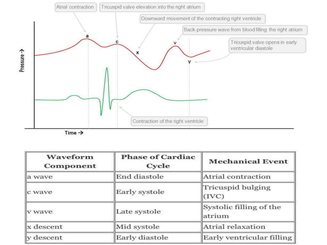 Basic and advanced Cardiovascular monitoring.pptx