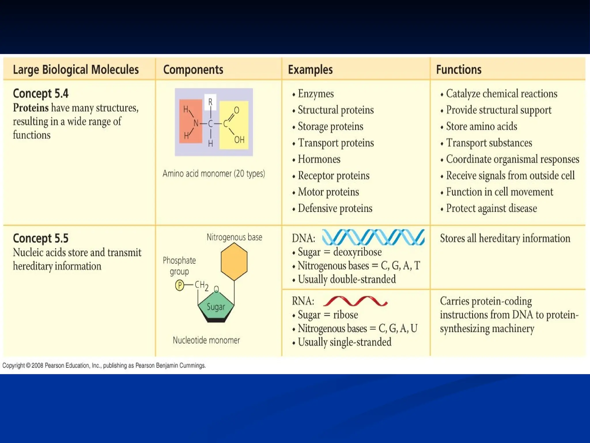 Basic and advanced ppt on Biological Macromolecules.ppt