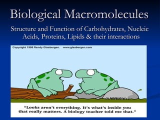 Basic and advanced ppt on Biological Macromolecules.ppt