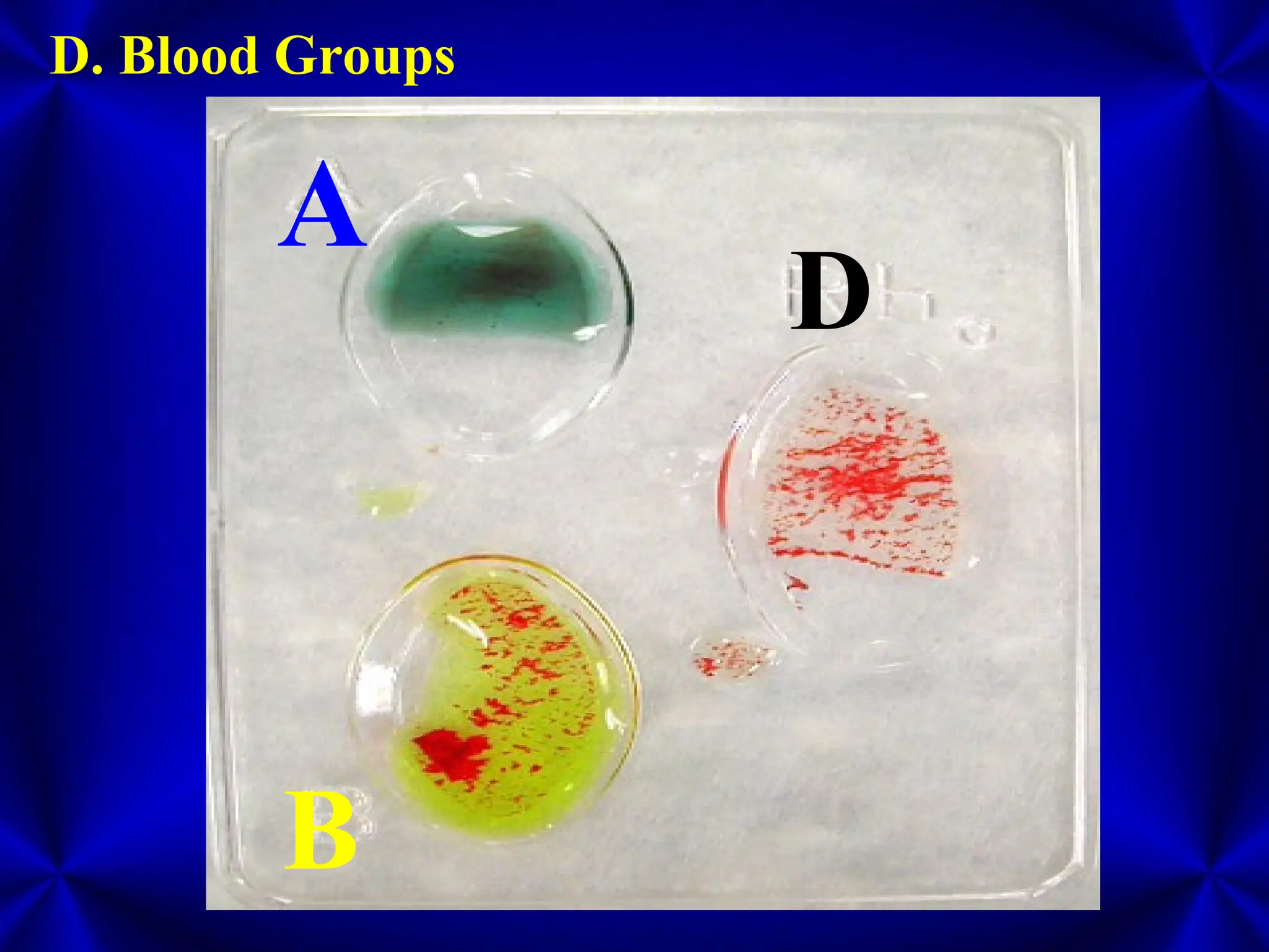 Basic and Advanced Practical Biochemistry.ppt