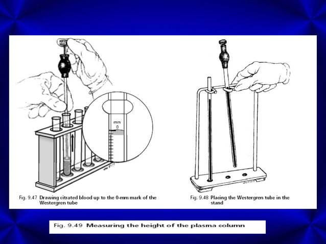 Basic and Advanced Practical Biochemistry.ppt