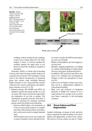 Basic and applied aspects of biotechnology | PDF