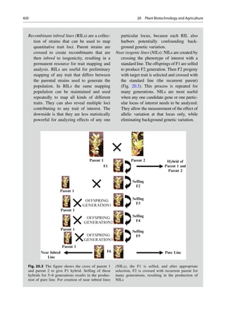 Basic and applied aspects of biotechnology | PDF