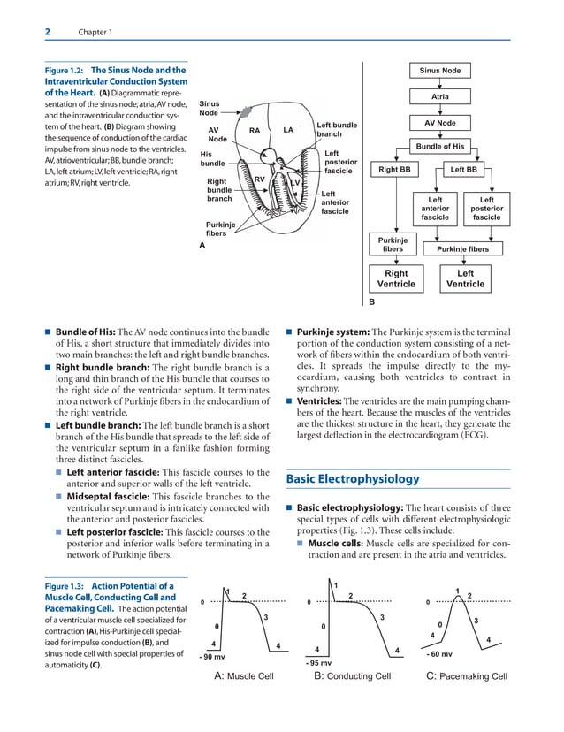 basic and bedside ECG.pdf